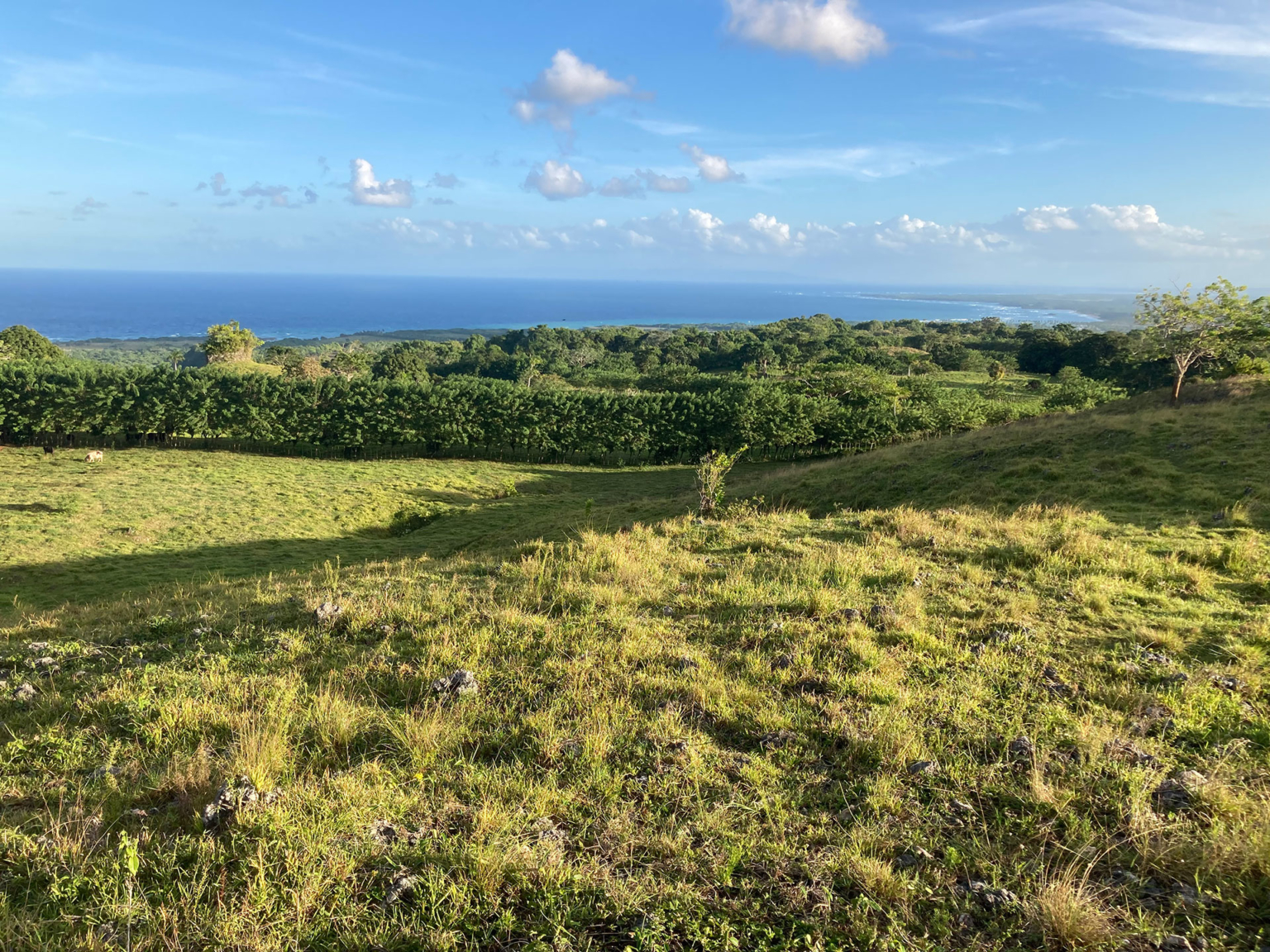 Cabrera - Agencia Inmobiliaria República Dominicana